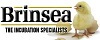 Brinsea Chick Brooder Enclosure Panels, 8 pk. at Tractor Supply Co