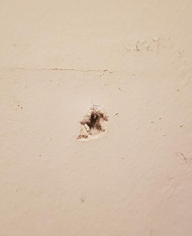 3M Blue-to-White 12-oz Color-changing, Heavy Duty, Waterproof Interior ...