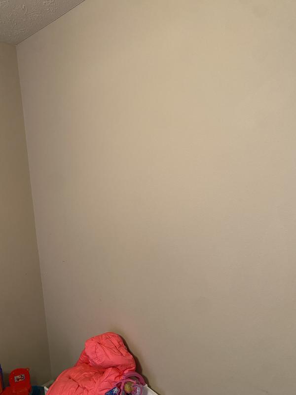 3M Blue-to-White 32-oz Color-changing, Heavy Duty, Waterproof Interior ...