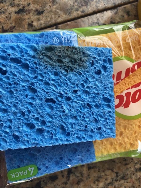 ocelo Utility Cellulose Sponge (4-Pack) 7274-10 at Lowes.com