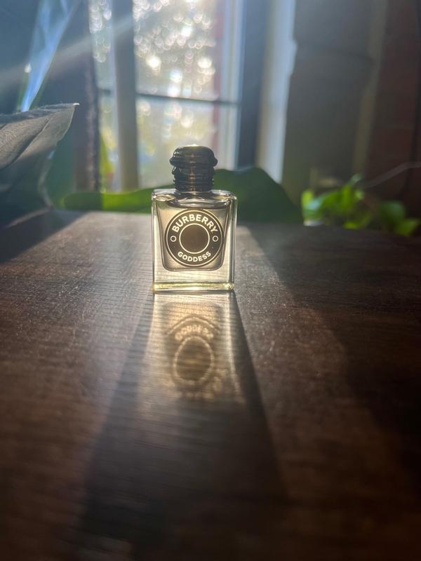 Burberry Goddess Body Lotion 6.7 oz. | Bloomingdale's