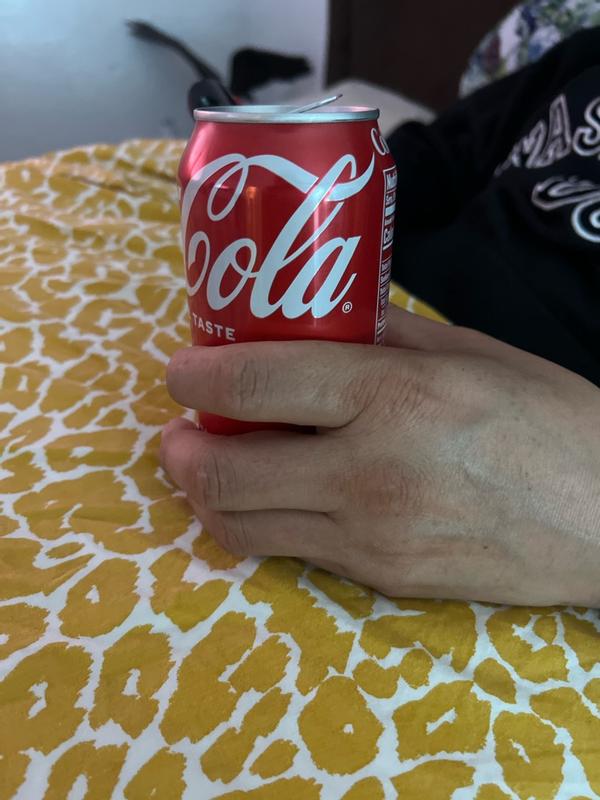 Coca-Cola 12-Pack 12-fl oz Cola Soft Drink 049000028904 at Lowes.com