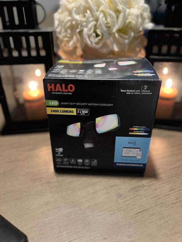 Halo 180 -Degree 200 -Wattage Equivalent Hardwired LED white 2 -Head ...