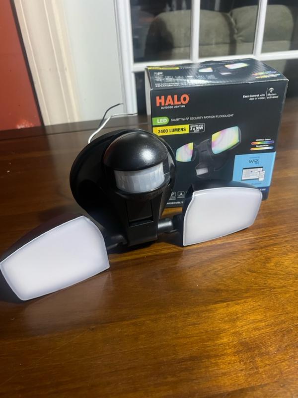 Halo 180 -Degree 200 -Wattage Equivalent Hardwired LED white 2 -Head ...