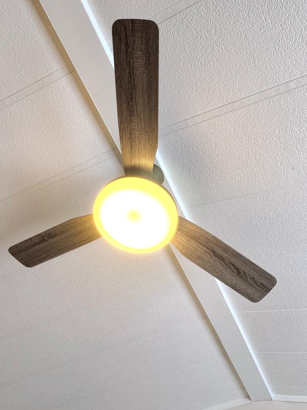 Ceiling Fan Balancing Kit Canadian Tire | Shelly Lighting