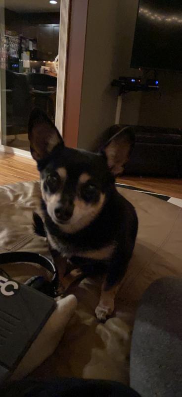 Starfrit Pro Dual Speed Food Processor | Canadian Tire