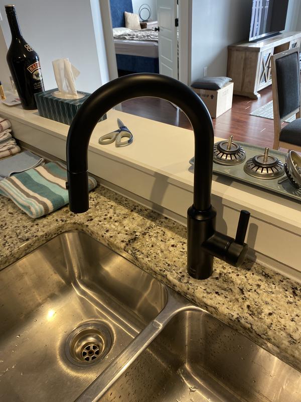 Robinet d'évier à bec rétractable et à poignée simple Danze Colby, noir ...