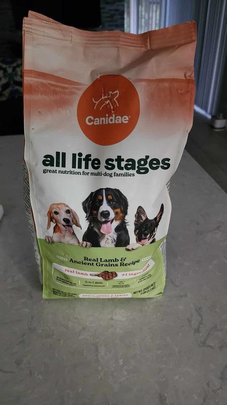 Canidae All Life Stages Real Lamb & Ancient Grains Recipe Dry Dog Food ...