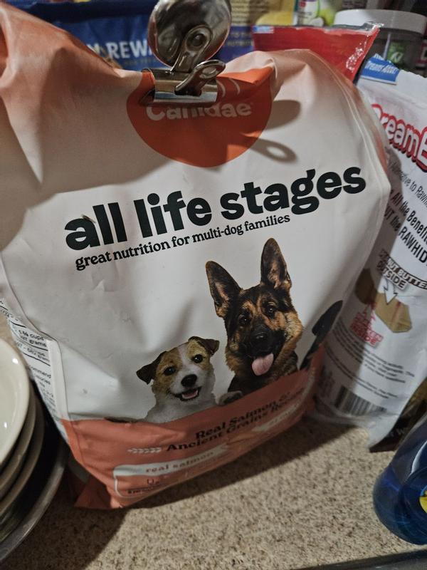 Canidae All Life Stages Real Salmon & Ancient Grains Recipe Dry Dog ...
