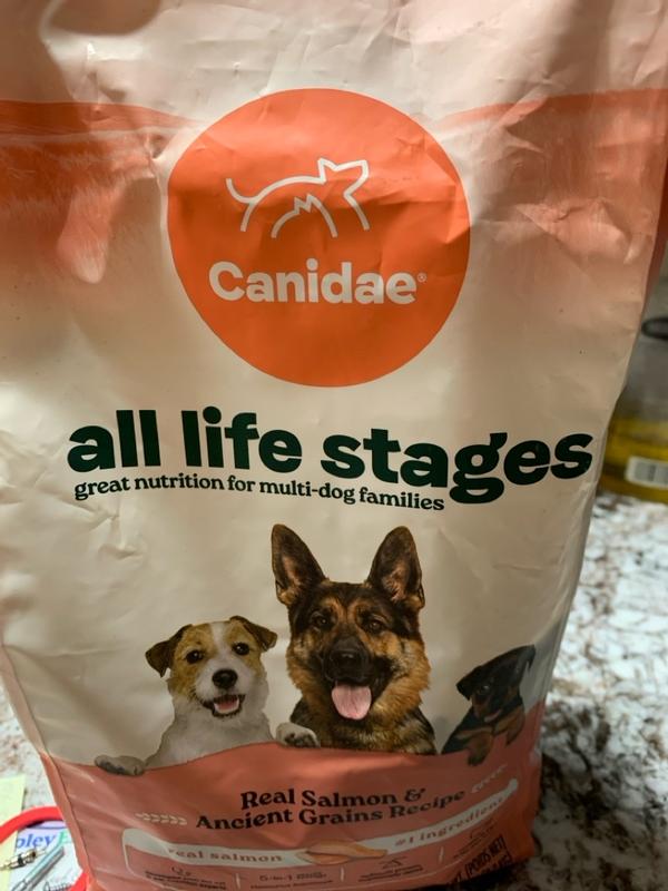 Canidae All Life Stages Real Salmon & Ancient Grains Recipe Dry Dog ...