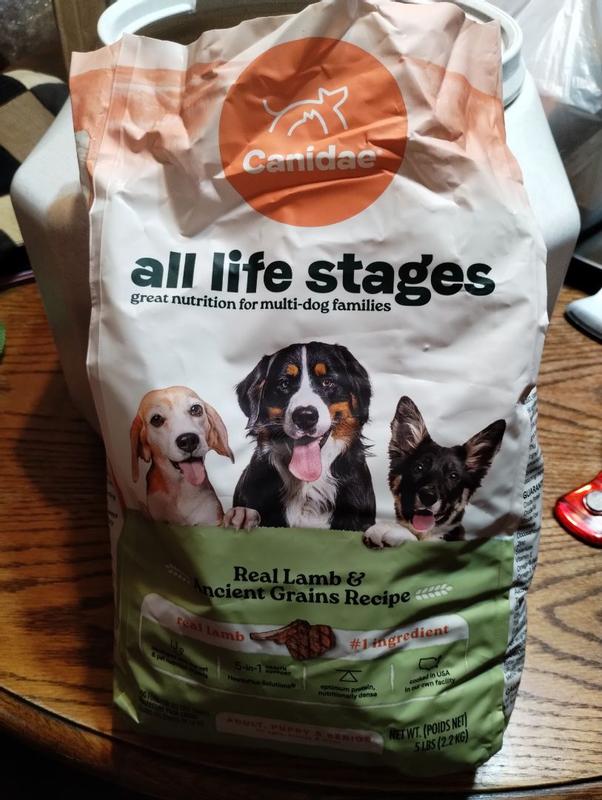 Canidae All Life Stages Real Lamb & Ancient Grains Recipe Dry Dog Food ...