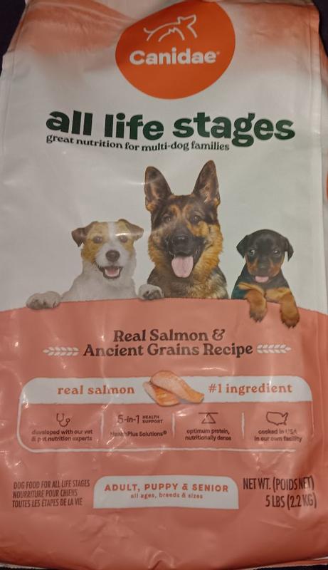 Canidae All Life Stages Real Salmon & Ancient Grains Recipe Dry Dog ...