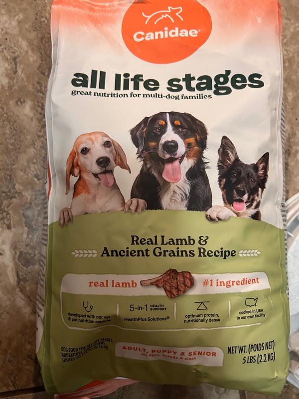 Canidae All Life Stages Real Lamb & Ancient Grains Recipe Dry Dog Food ...