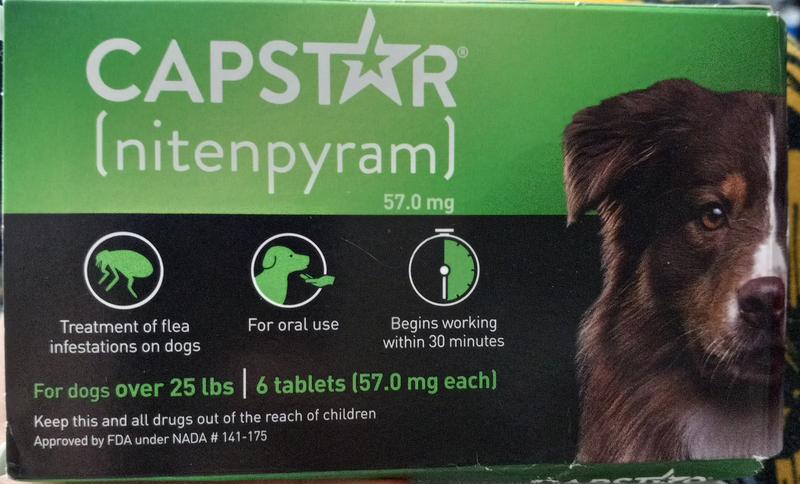 How Long Does Dog Flea Treatment Last