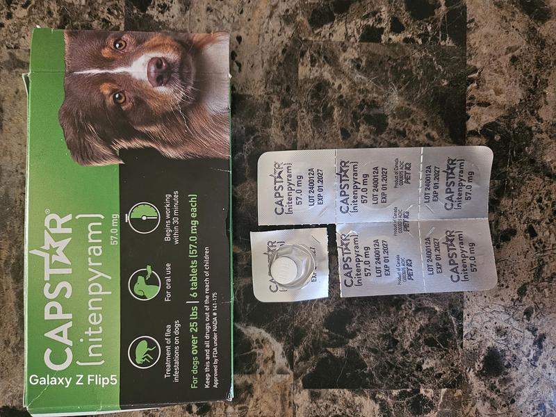 CAPSTAR Oral tablet Flea and Tick Treatment (Pet Size: Small ) in the ...
