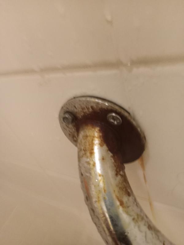 Carex Chrome Tub grip in the Bathroom Safety Accessories department at ...