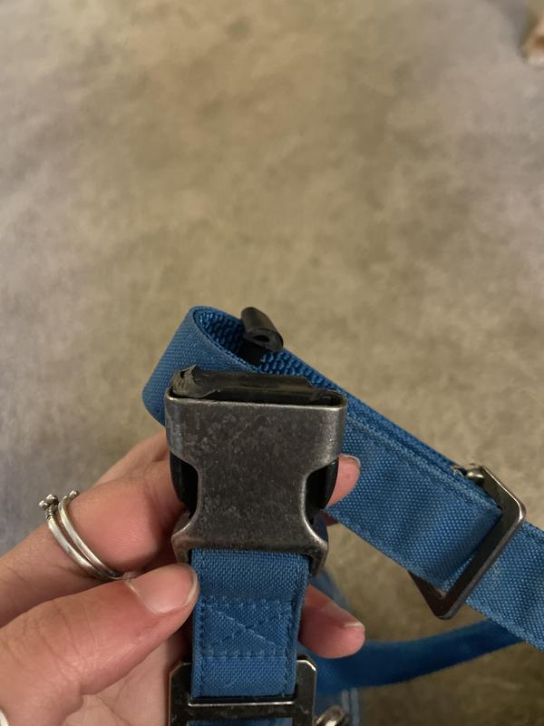 Carhartt Adjustable Nylon Duck Dog Collar at Tractor Supply Co