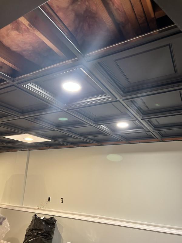 Ceilume 2-ft x 2-ft Oxford Signature Series Black PVC Drop Ceiling Tile ( 6 -Pack, 24-sq ft ...