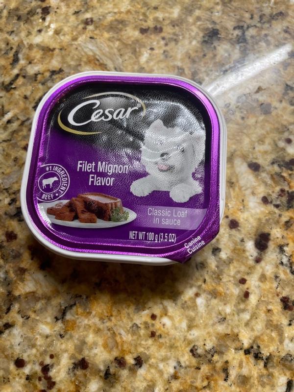 Cesar Classic Loaf in Sauce Filet Mignon Flavor Wet Dog Food, 3.5 oz ...