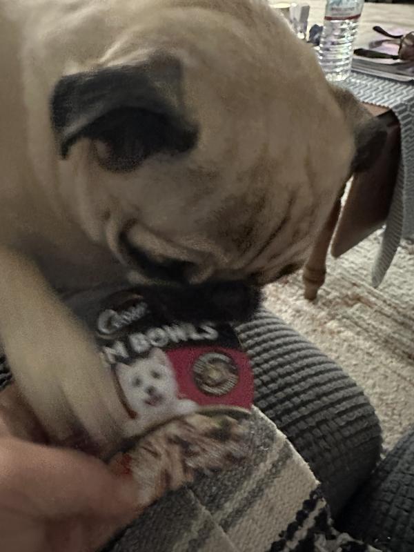 Cesar Warm Bowls Chicken & Beef and Chicken Entrees Wet Dog Food ...