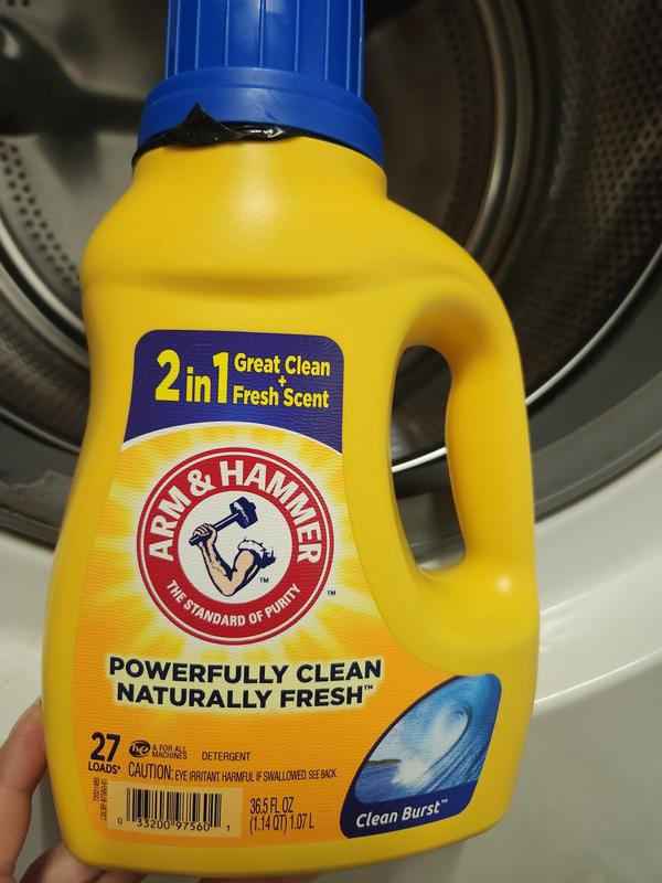 Arm & Hammer 2-Pack Clean Burst HE Laundry Detergent (213-oz) in the ...