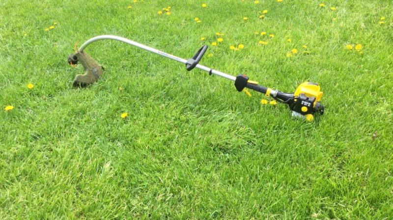 Champion grass trimmer store