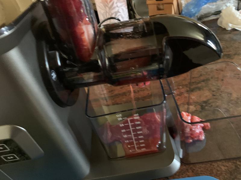 Avanti 28-oz Silver Juice Extracter at Lowes.com