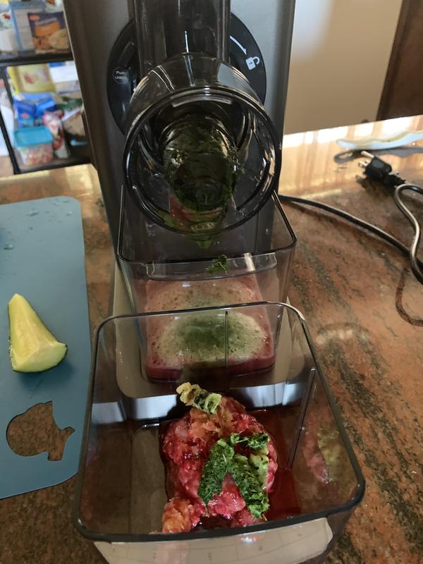 Avanti 28-oz Silver Juice Extracter at Lowes.com