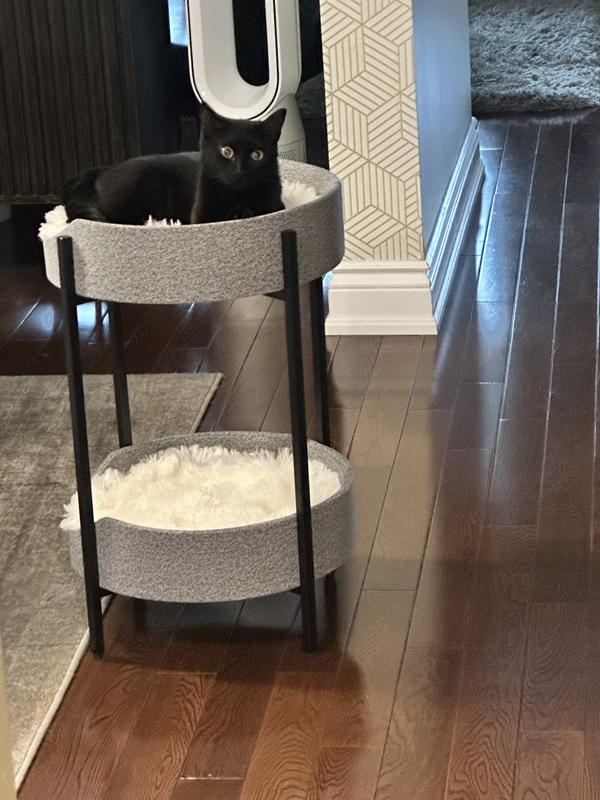 FRISCO Modern Elevated Wrought Iron Cat Bed with Eyelash Cushion, Two ...