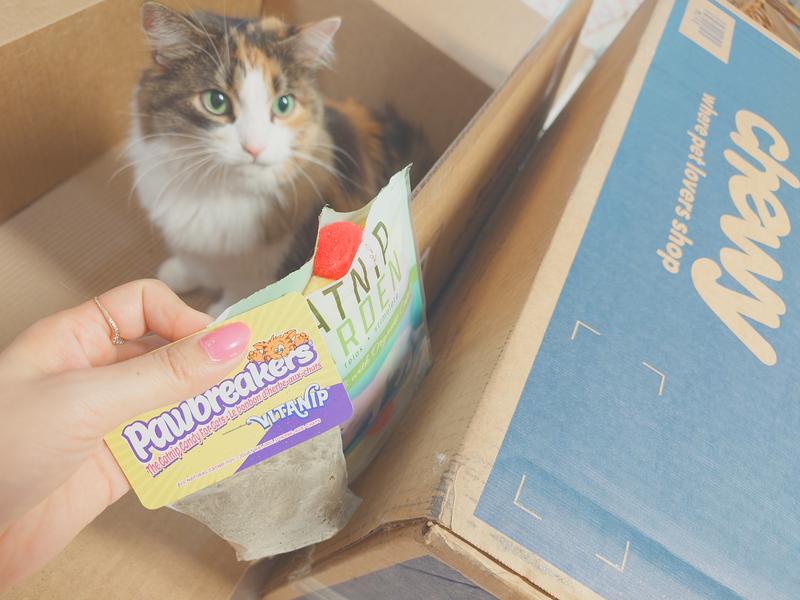 Discontinued - MULTIPET Catnip Puffs Plush Cat Toy with Catnip, Color ...