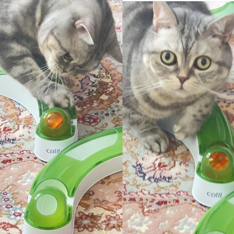 Discontinued - CATIT Senses 2.0 Super Circuit Cat Toy - Chewy.com ...