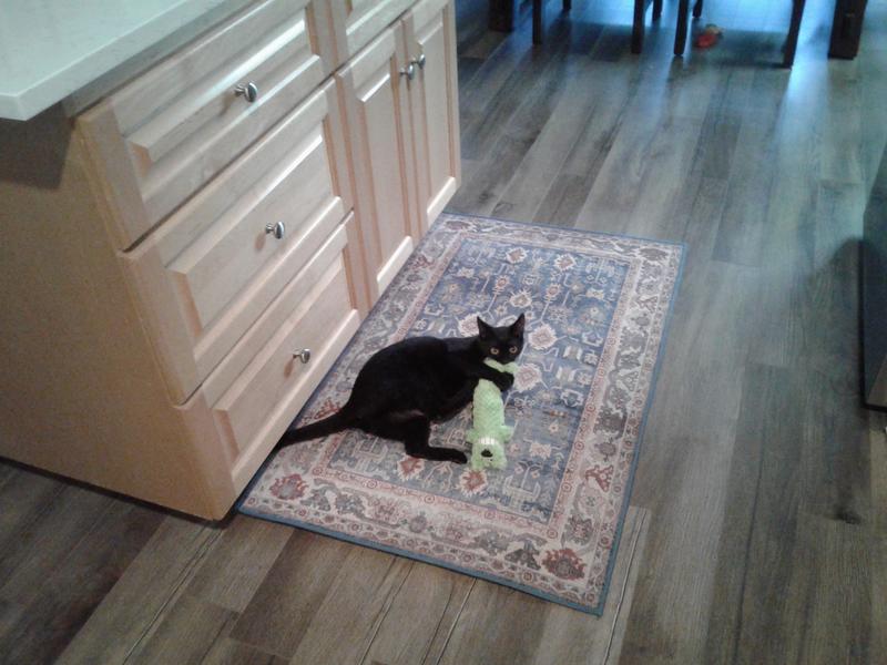 MULTIPET Loofa Plush Cat Toy with Catnip, Color Varies, 1 count | Chewy ...