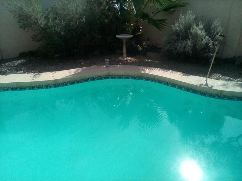 Clorox Pool&Spa 12 -Pack 192-oz Trichlor Pool Shock in the Pool Shock ...