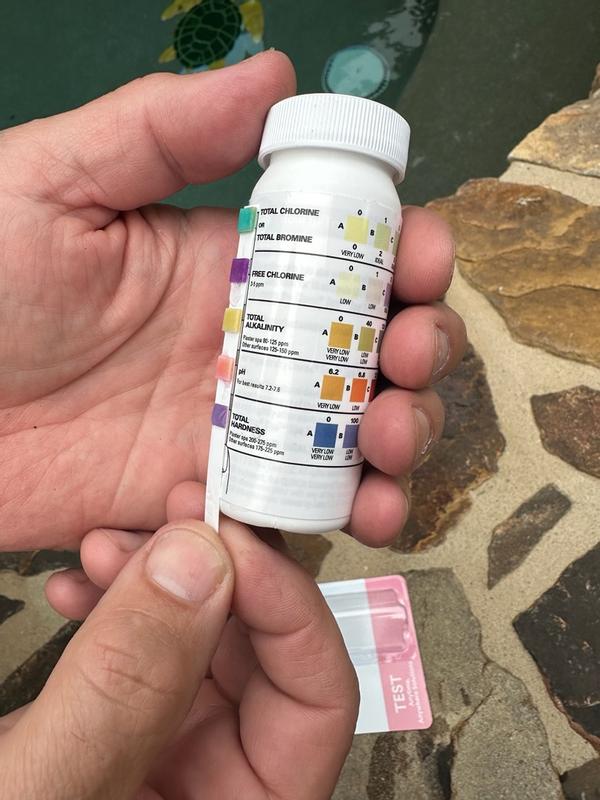 Clorox Pool&Spa Pool Test Strips 75030CSP at Lowes.com