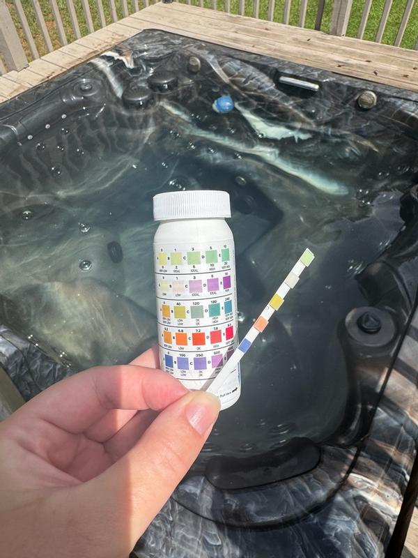 Clorox Pool&Spa Pool Test Strips 75030CSP at Lowes.com