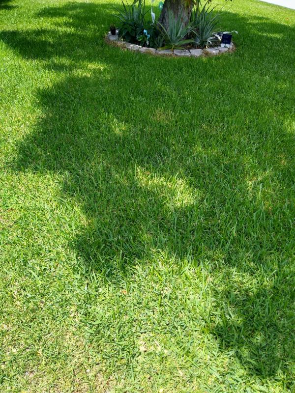 CRAFTSMAN M250 21-in Gas Self-propelled lawn mower with 160-cc Honda ...