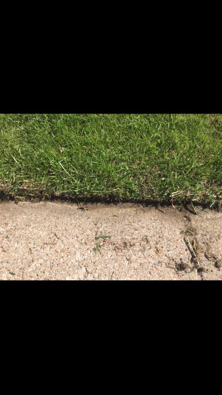 CRAFTSMAN CRAFTSMAN LAWN EDGER 29CC at Lowes.com