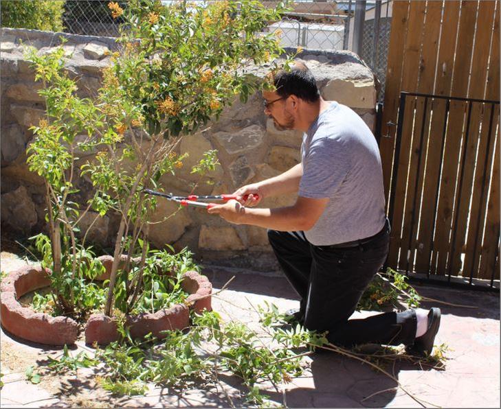 CRAFTSMAN 2-in-1 Carbon steel Bypass Hand Pruner with Standard handle ...