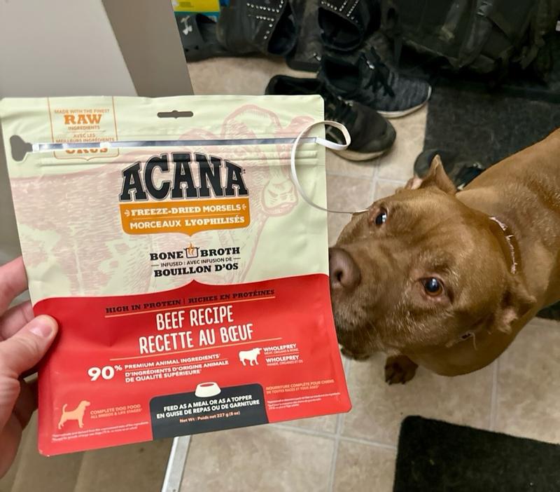 ACANA Freeze Dried Morsels Free-Run Beef Recipe Dog Food & Topper, 8 oz ...