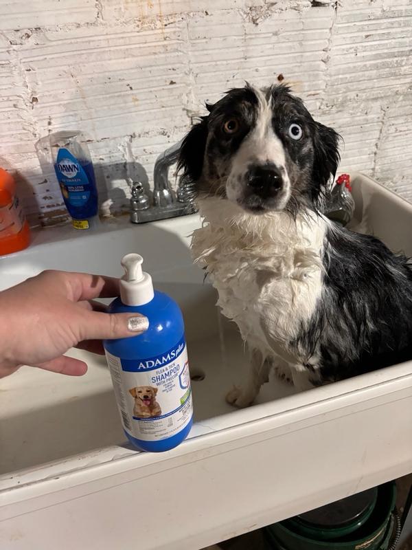 Adams Plus Flea & Tick Shampoo with Precor for Dogs, 1 Gallon | Petco