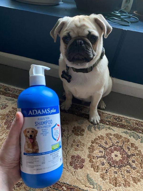 Adams Plus Flea & Tick Shampoo with Precor for Dogs, 1 Gallon | Petco