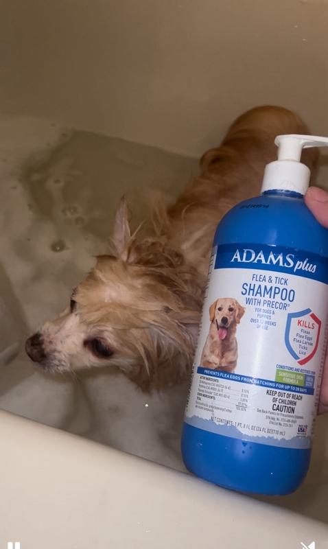 Adams Plus Flea & Tick Shampoo with Precor for Dogs, 1 Gallon | Petco