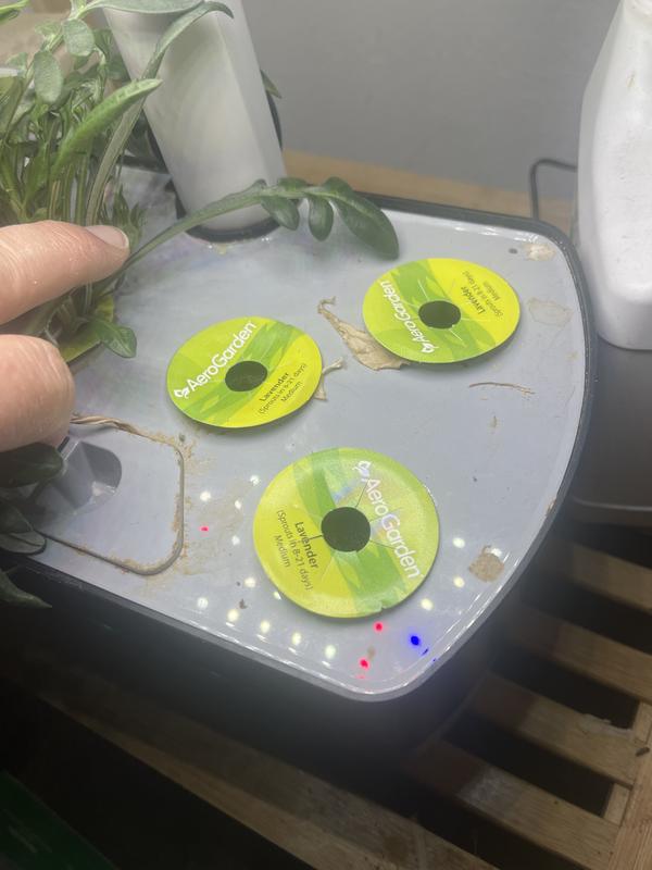 AeroGarden Lots of Lavender Seed Pod Kit, 6-Pod - Macy's