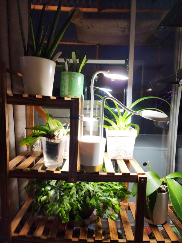 Aerogarden Lights | Shelly Lighting