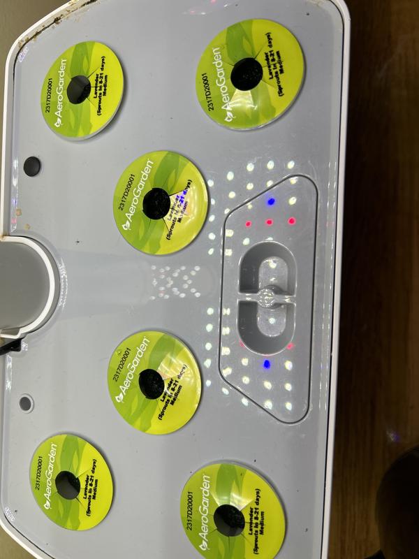 AeroGarden Lots of Lavender Seed Pod Kit, 6-Pod - Macy's