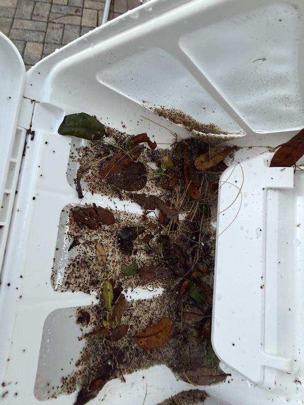 Aiper Intelligent Scuba N1 Cordless Robotic Pool Cleaner Vacuum for In ...