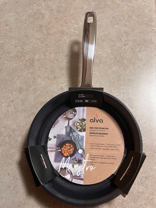 alva Maestro Toxin-Free Ceramic Nonstick Frying Pan - 9.5-inch in the ...
