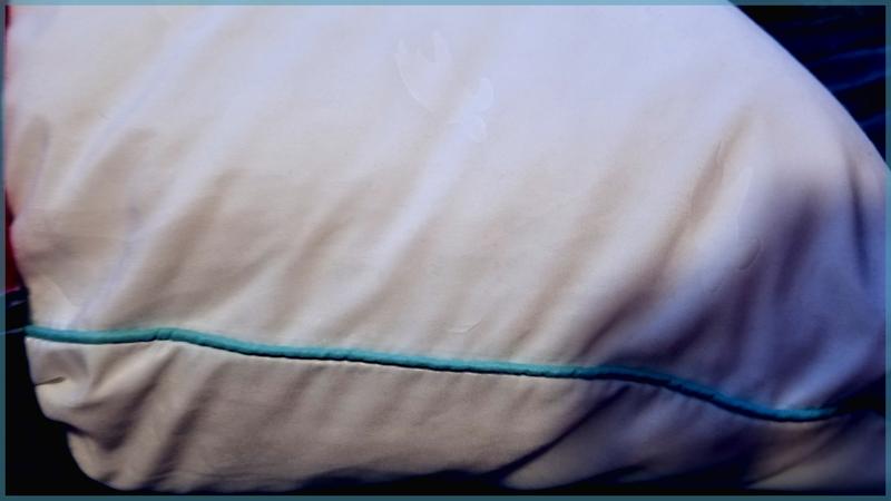 AllerEase Blue Pillow, Standard/Queen - Macy's