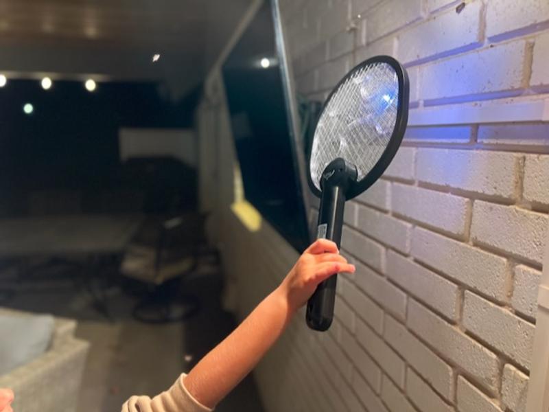 Magic Mesh Flying Insect Killer Bug Zapper and Swatter 1 pk in the ...