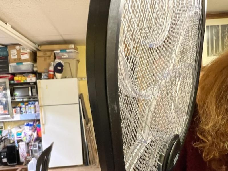 Magic Mesh Flying Insect Killer Bug Zapper and Swatter 1 pk in the ...